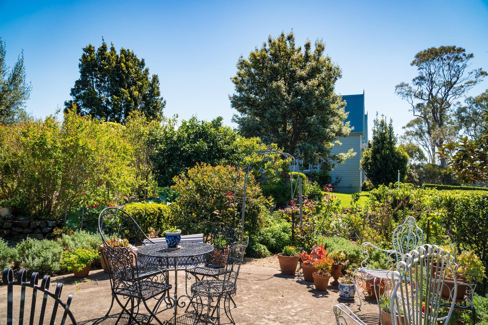 Fig Tree Park Weddings - Wedding Venues Central Tilba | Easy Weddings