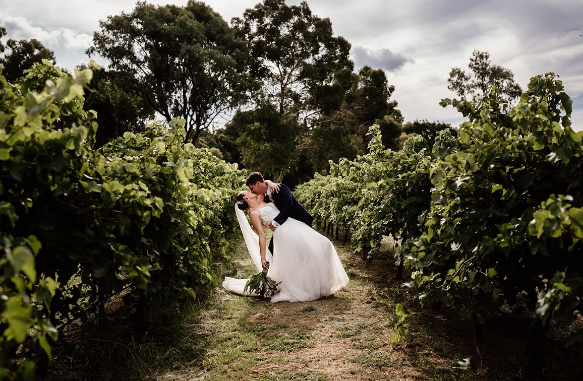 The Pavilion Weddings at Buller Wines - Wedding Venues Rutherglen ...