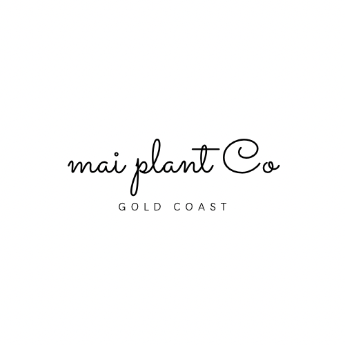 mai plant Co. - Wedding Flowers Robina | Easy Weddings