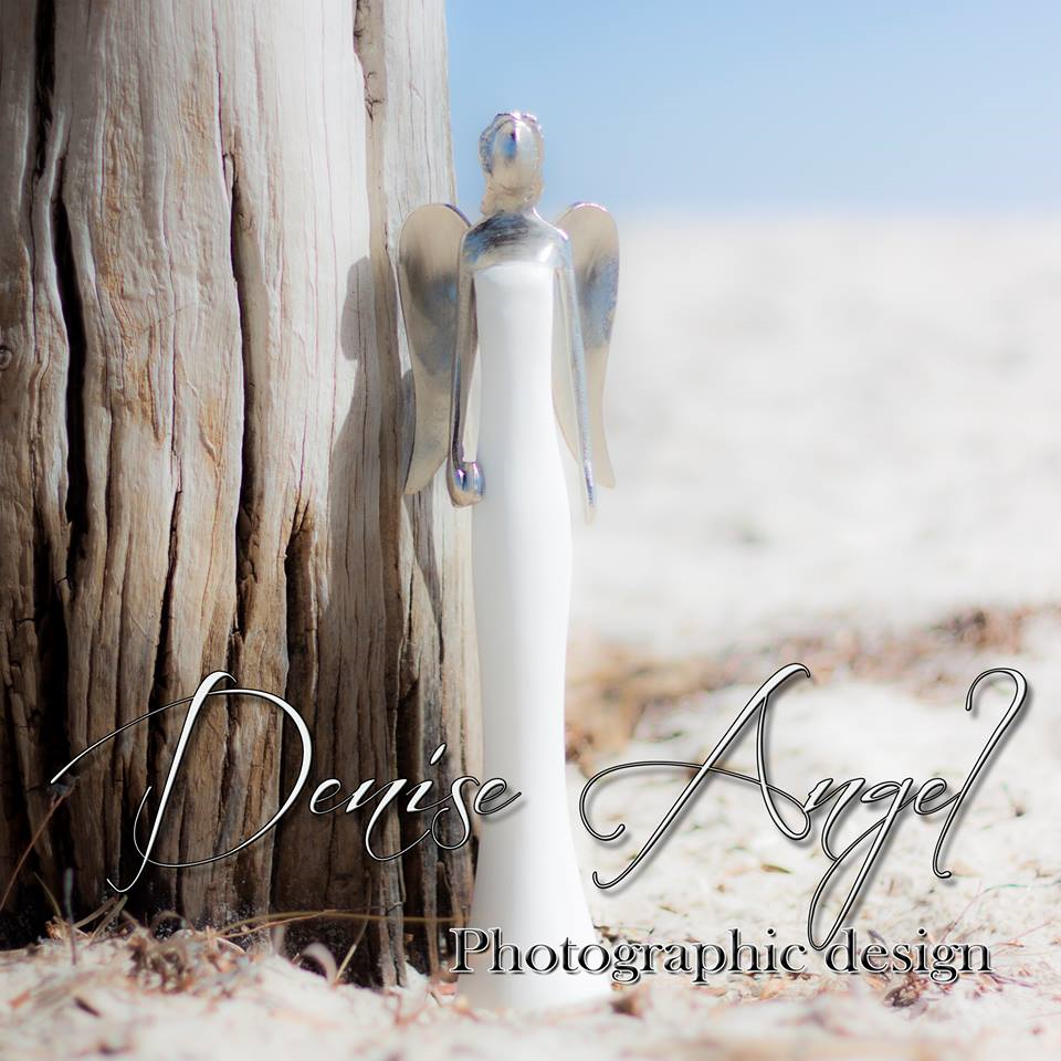 Denise Angel Photographic Design - Wedding Photography Paralowie | Easy ...