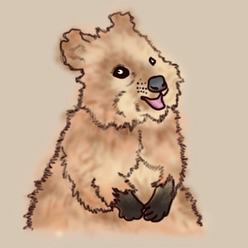 Quokka Cakes - Wedding Cakes Ardross | Easy Weddings